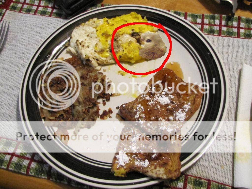 Delicious breakfast thread > General Discussion > AR15.COM